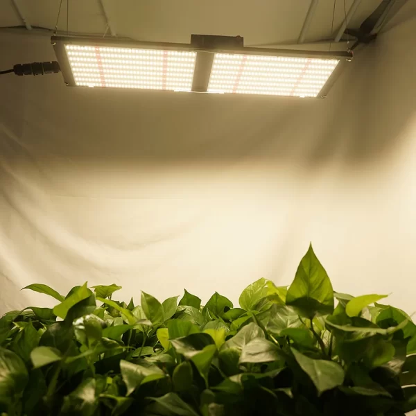 QB005 200W Quantum Board Grow Light | Full Spectrum & Dimmable
